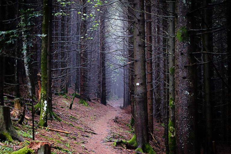 Haunted Germany Tour | Explore Spooky Legends and Sites